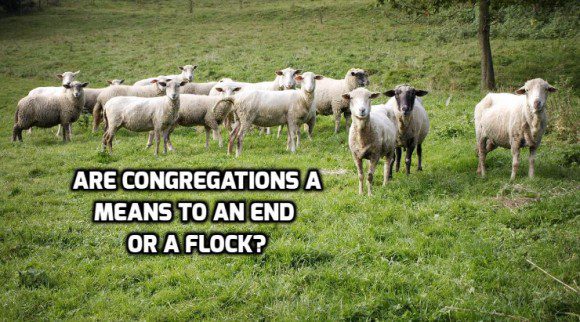 Are congregations a means to an end or a flock to shepherd? 3 examples ...