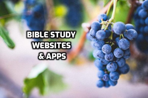 Bible Study 101: Learn to Study the Bible - Wednesday in the Word