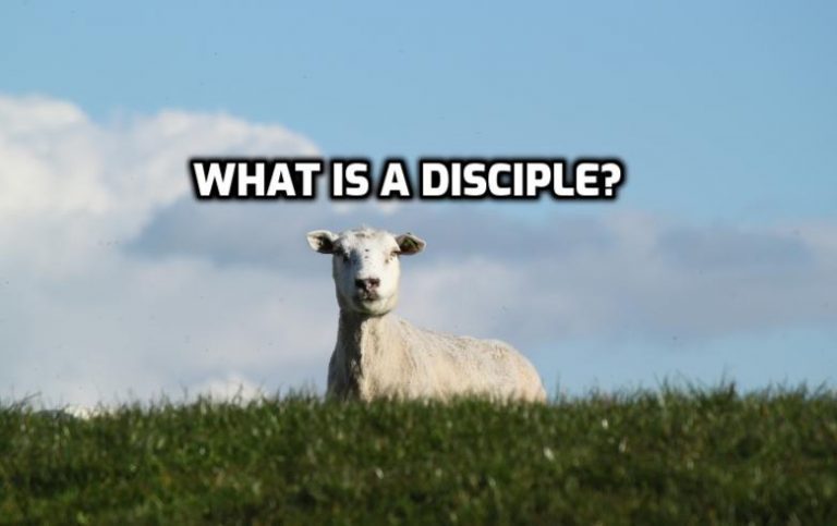 What is a disciple? - Wednesday in the Word