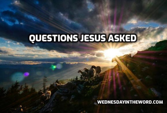 Questions Jesus Asked : Wednesday in the Word