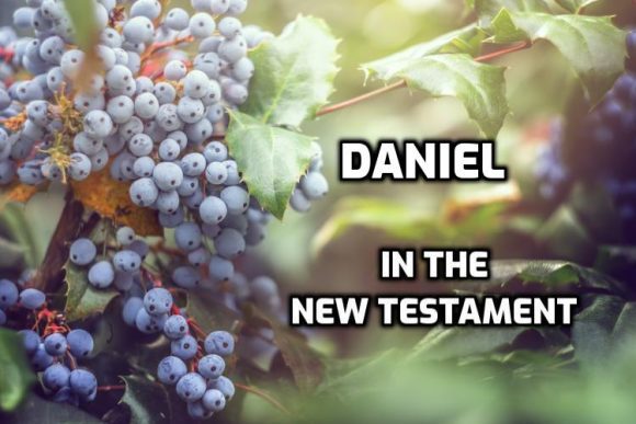 Daniel Quoted in the New Testament : Wednesday in the Word