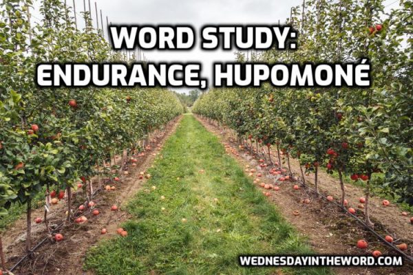 endurance, hupomoné, G5281 - Wednesday in the Word