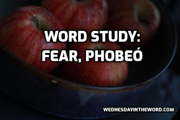 fear, phobeo, G5399 - Wednesday in the Word
